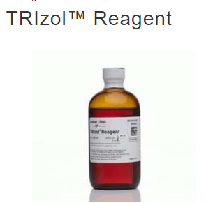 15596018/TRIzol™ Reagent(RNA提取试剂) - 长沙鼎国生物技术有限公司